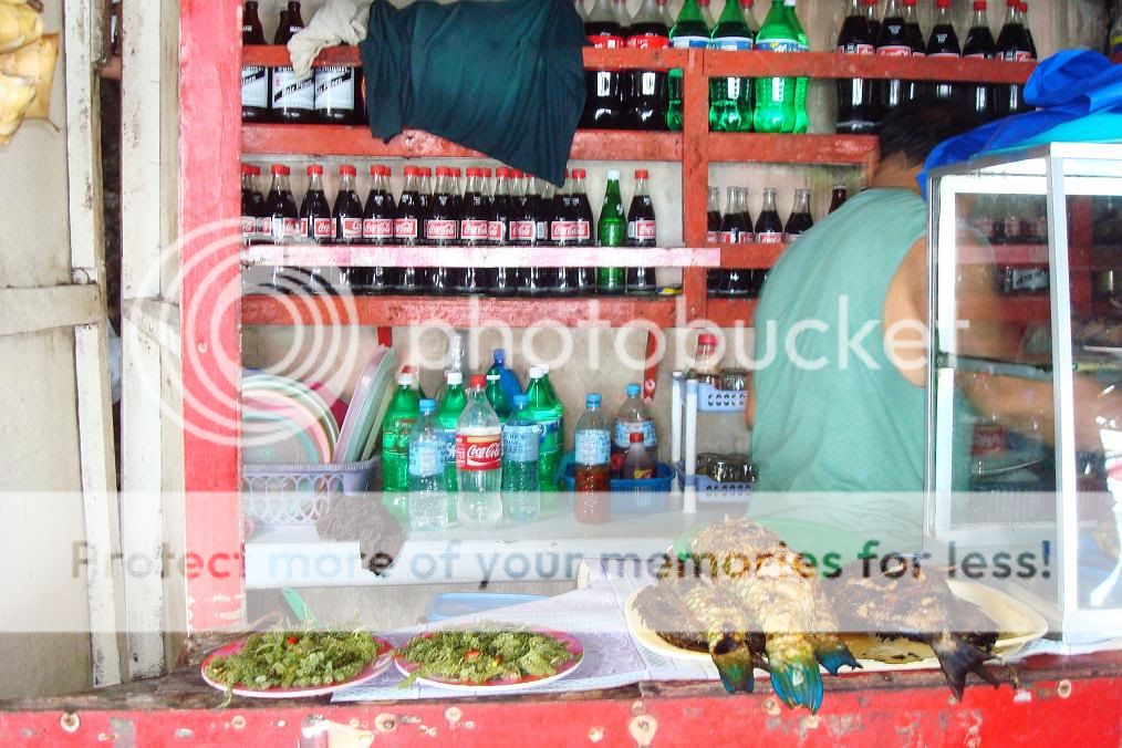 Sea Hares Secretion Commonly Known as Lukot in Visayan - MikeLigalig.com