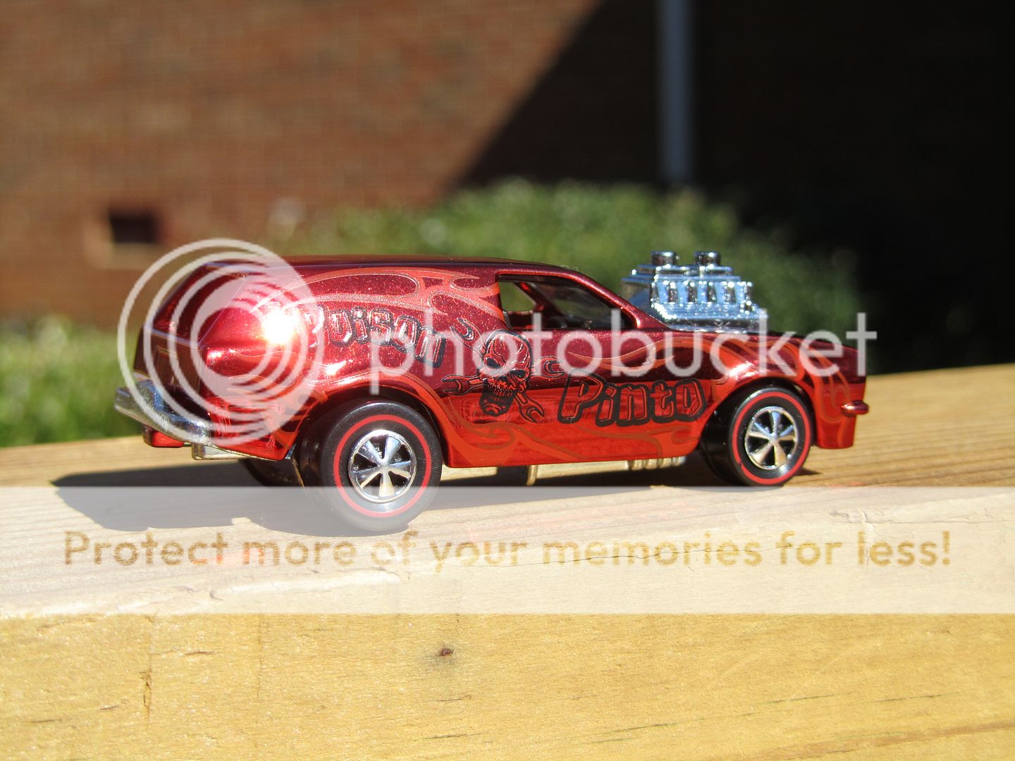 Modern Poison Pinto in Red | Hobbyist Forums